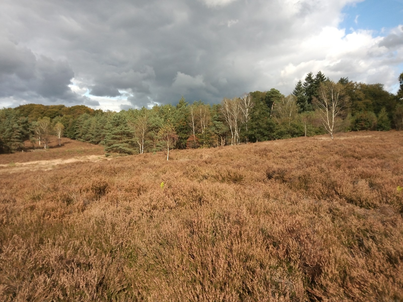 Van Schaarsbergen naar Oosterbeek – landschap lopen