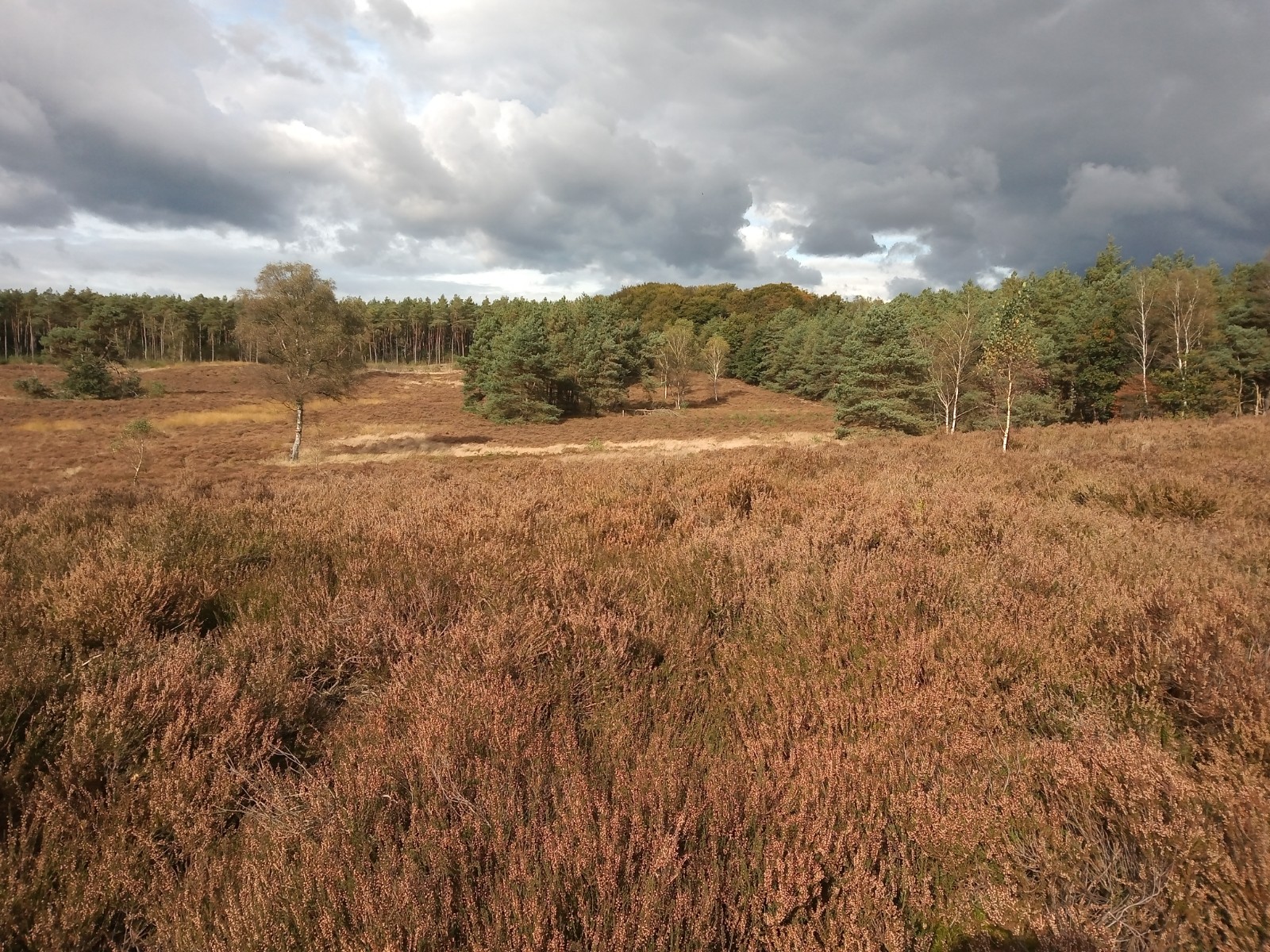 Van Schaarsbergen naar Oosterbeek – landschap lopen