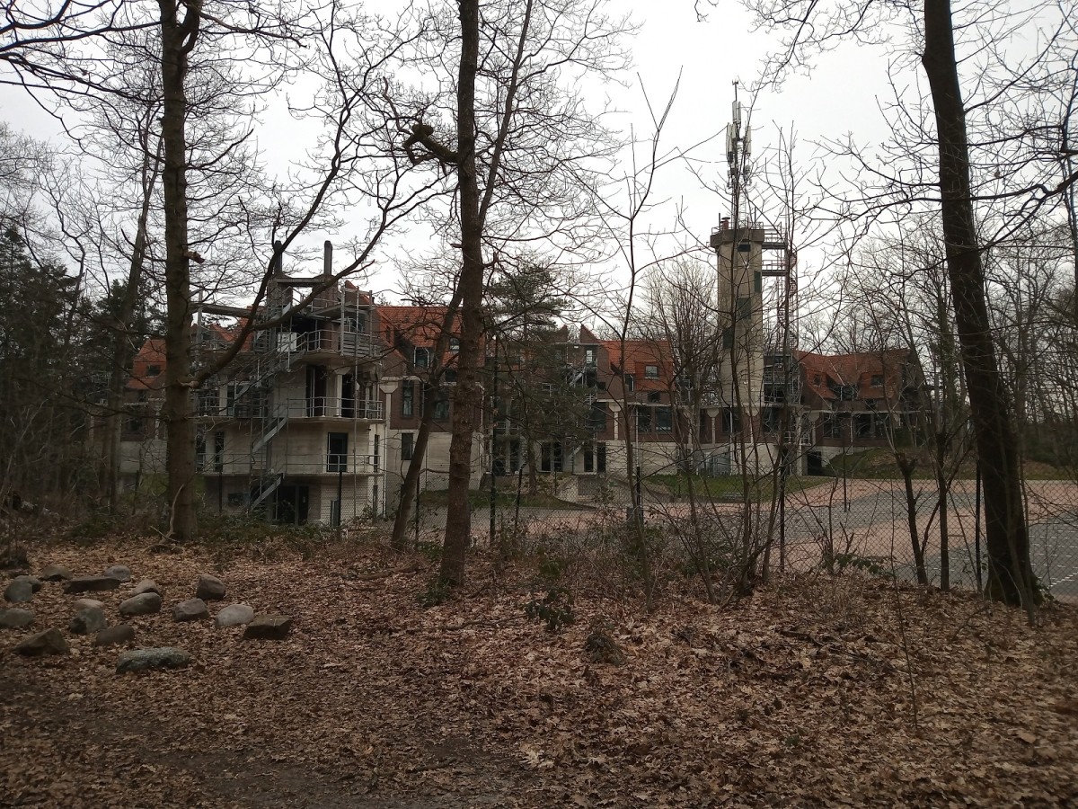 Van Schaarsbergen naar Oosterbeek – landschap lopen